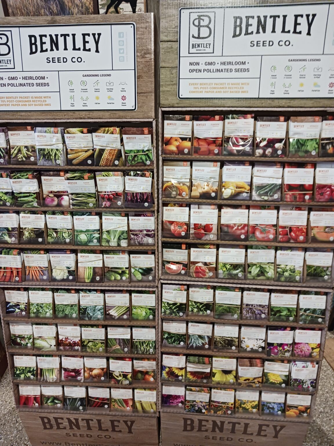 Featured Product of the Week: - Charapata Seed Sales